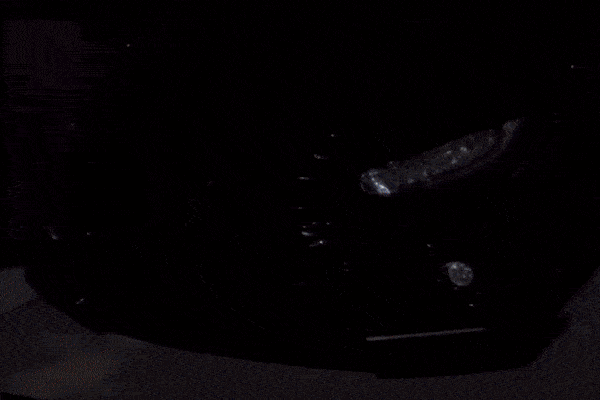 UMS v2 3PC Sequential LED Lip – ultimatemotorsports